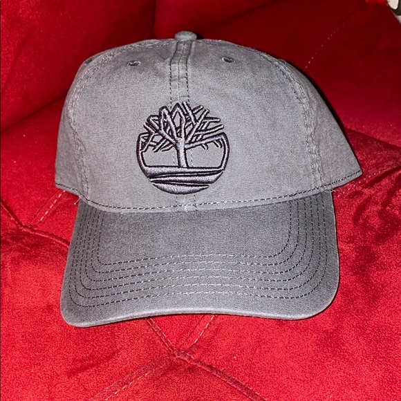 Timberland | Accessories | Mens Timberland Cap | Poshmark